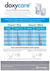 Download the latest digital content | The PAC